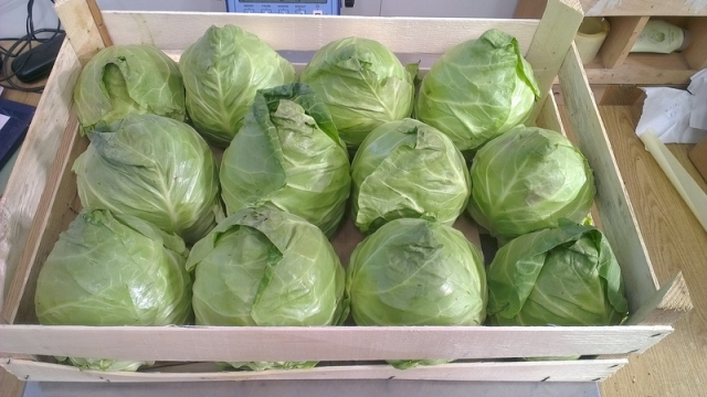 Zelenjava Velenje - Zelenjava Velenje